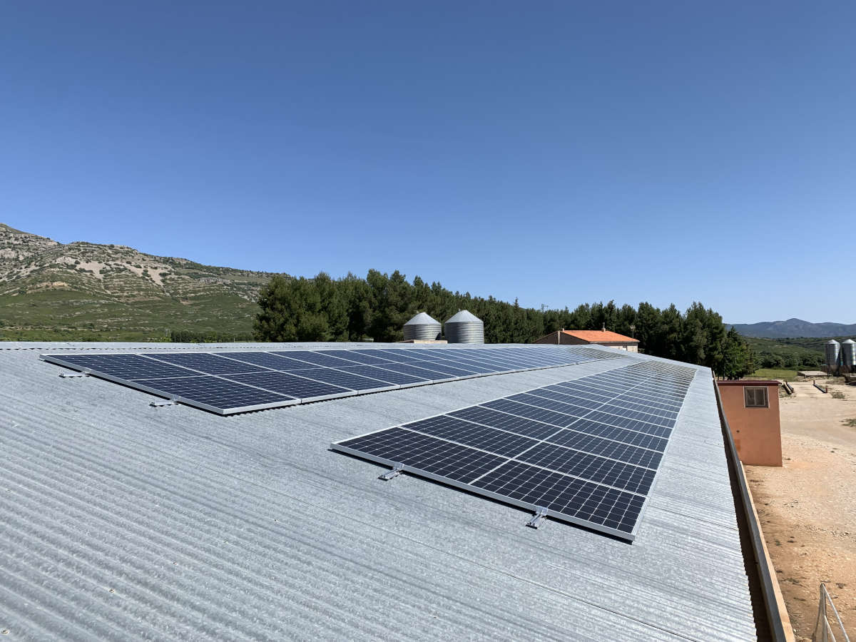 Autoconsumo fotovoltaico trifásico en granja Catí | DIRENERGY ☀️